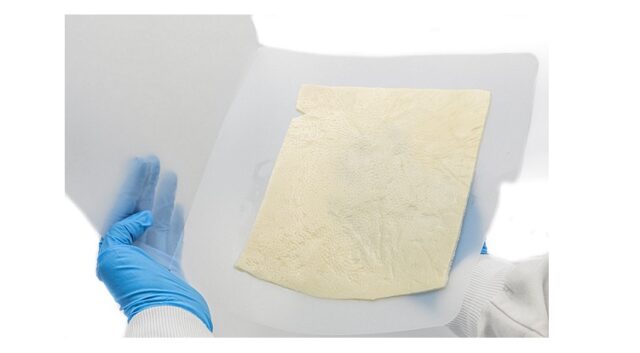 AlloSource Launches Allomend Extra-large Acellular Dermal Matrix ...