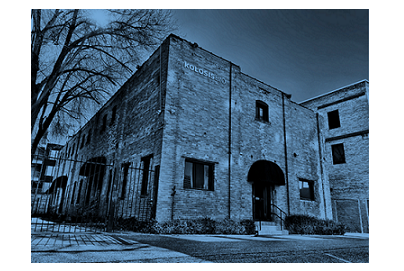 Kolosis BIO and MTF Biologics Extend Exclusive Agreement - Ortho Spine News