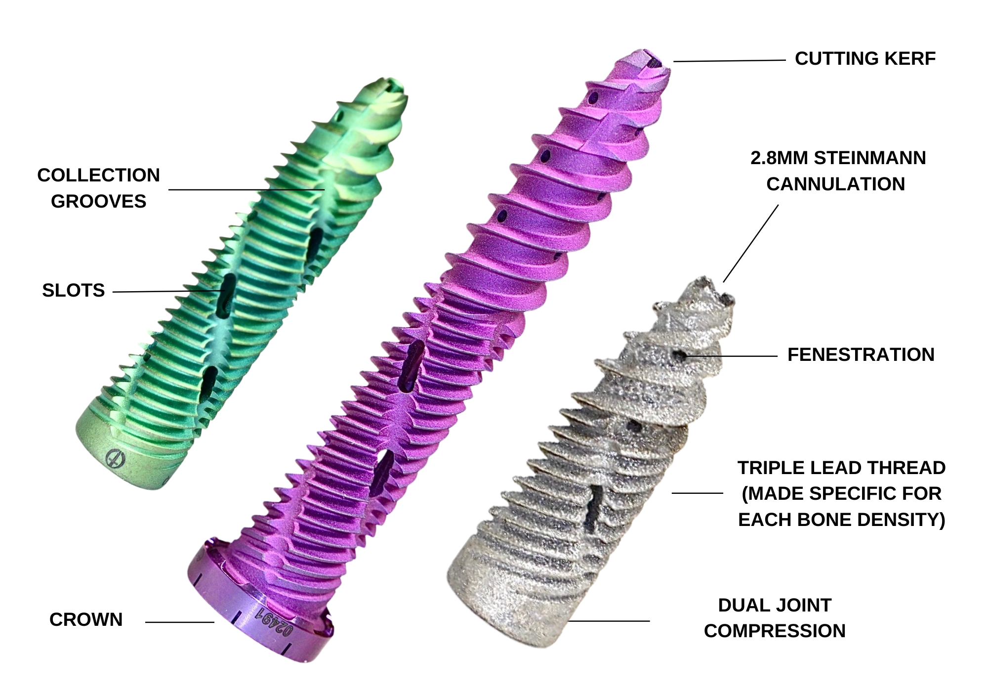 Paragon 28® launches the industry’s most robust screw and ...