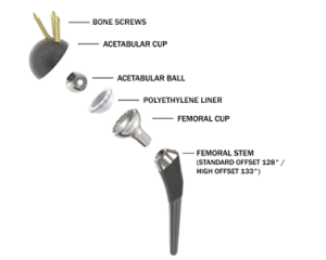 Exploring Recent Trends and Innovations in Total Hip Arthroplasty ...