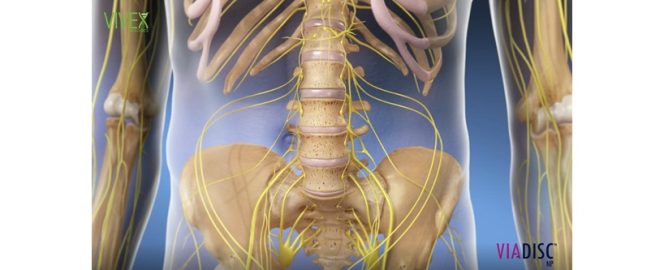 Vivex Biologics, Inc. Completes Subject Enrollment for its ASCEND Trial ...