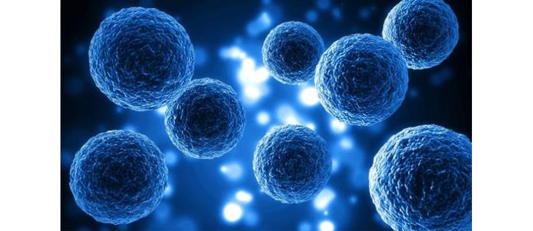 AAOS Updates Clinical Practice Guideline for the Management of Rotator ...